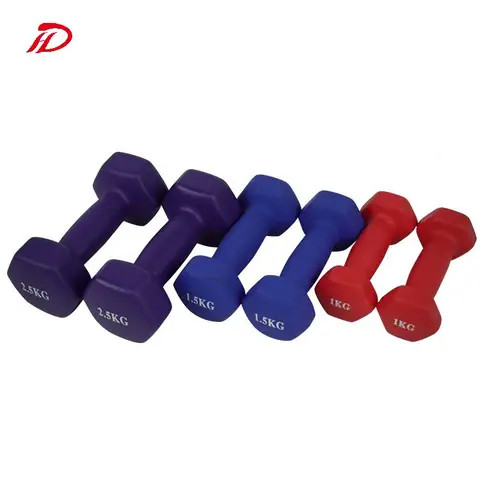 Buy Portable Family Dumbbell Set 1-10kg 1kg Increment Iron Fitness ...