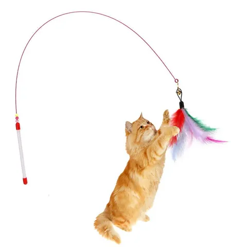 Buy Steel Wire Cat Toy Plastic Pole Feather Cat Teaser Stick ...