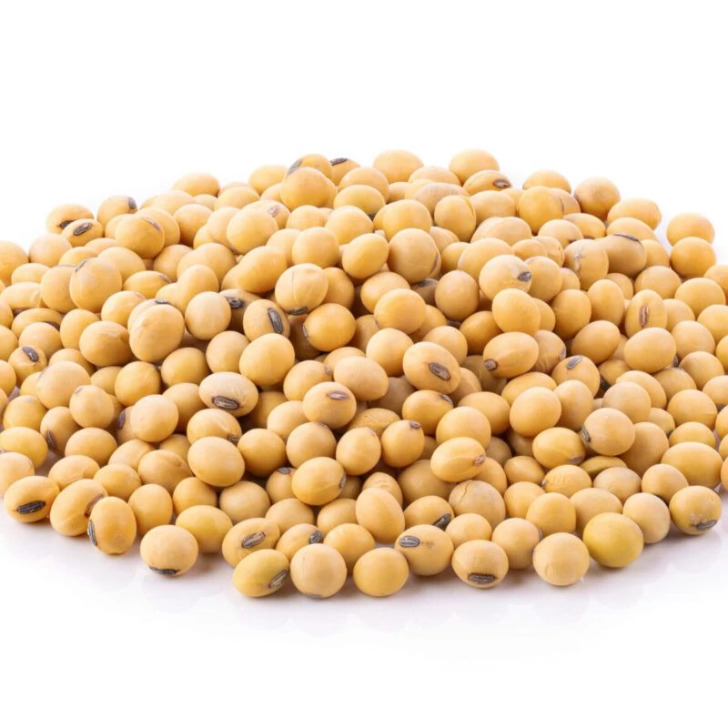 Buy Soybeans - Gmo In Wholesale from Guesbeogo Commodities Inc., Canada ...