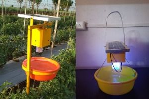 Buy Solar Light Trap For Agriculture Fields from GKAS, India ...