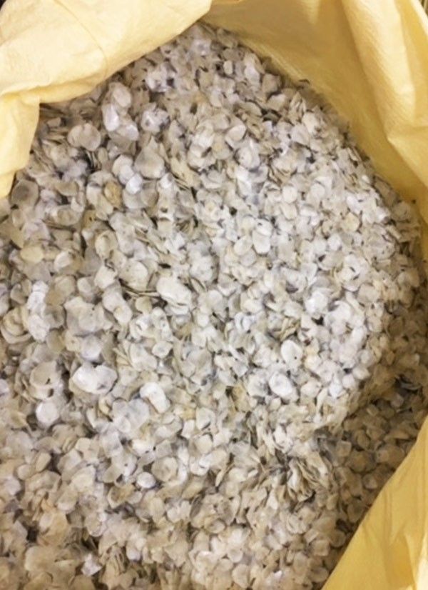 Buy Dry Fish Scales from Nizona Marine Products Private Limited, India ...