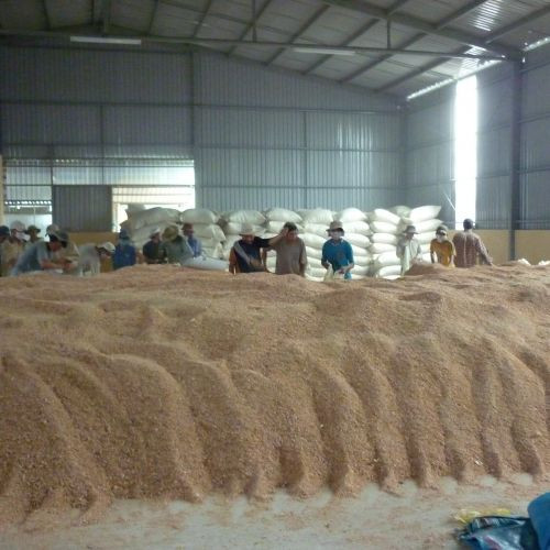 Buy Shrimp Shell Meal from KTIMEX CO.,LTD, Vietnam | Tradewheel.com