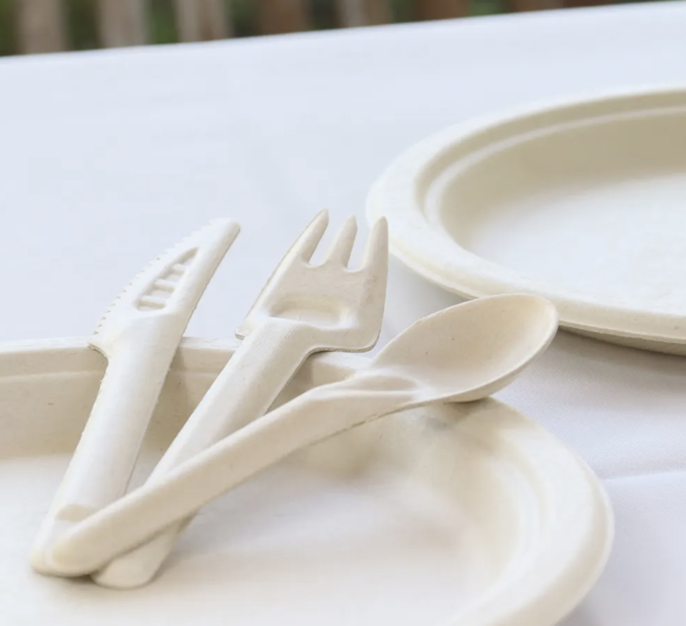 Buy Biodegradable Plastic Free Bagasse Cutlery Fork Knife Spoon from ...