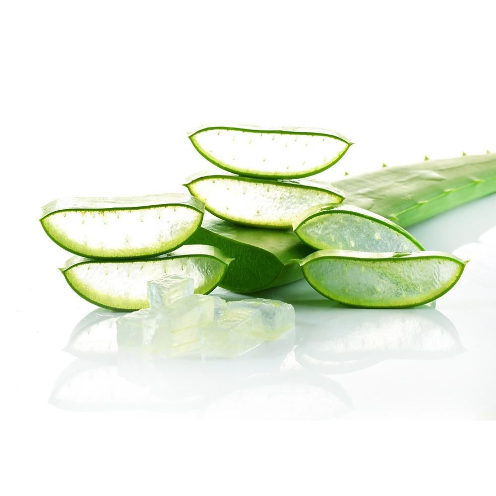 Buy Iqf Frozen Aloe Vera In Light Syrup Bulk Packaging from Weiss Green ...
