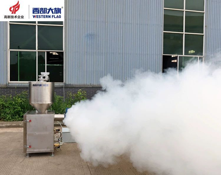Buy Smoke Generator For Sausages, Bacon, Flavoured Food, Fire Drill ...