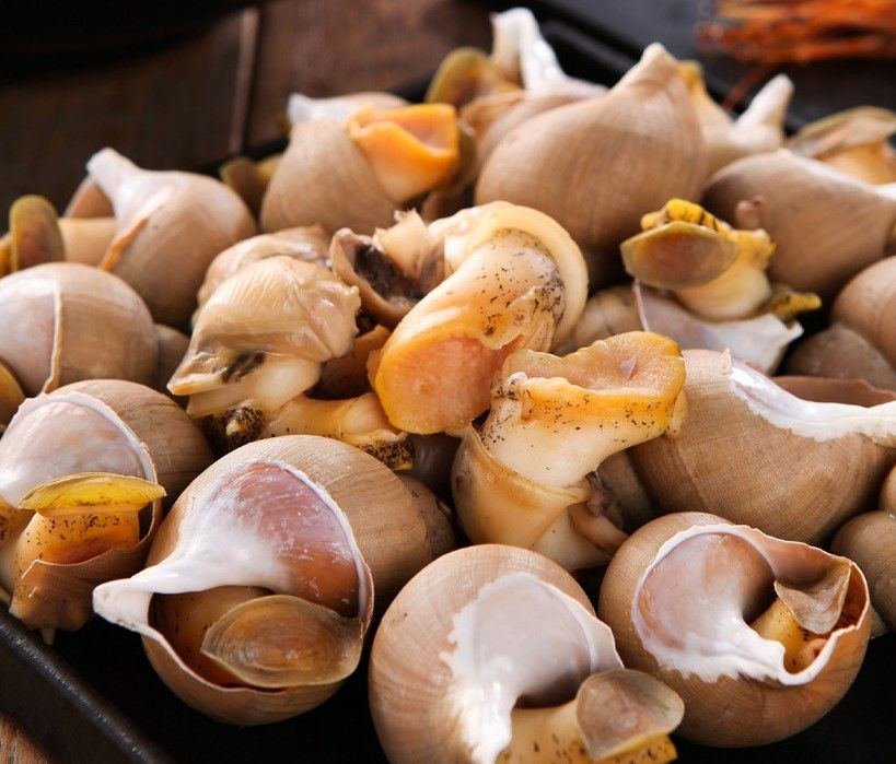 Buy Frozen Whelk from Teraso Food, South Korea | Tradewheel.com