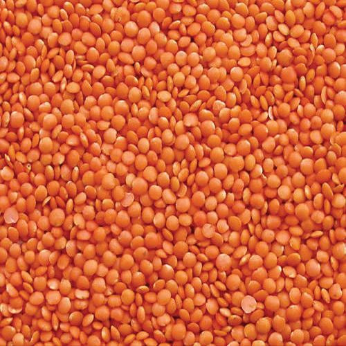 Buy Pulses,lentils,legumes from Taha Impex General Trading FZC, United ...