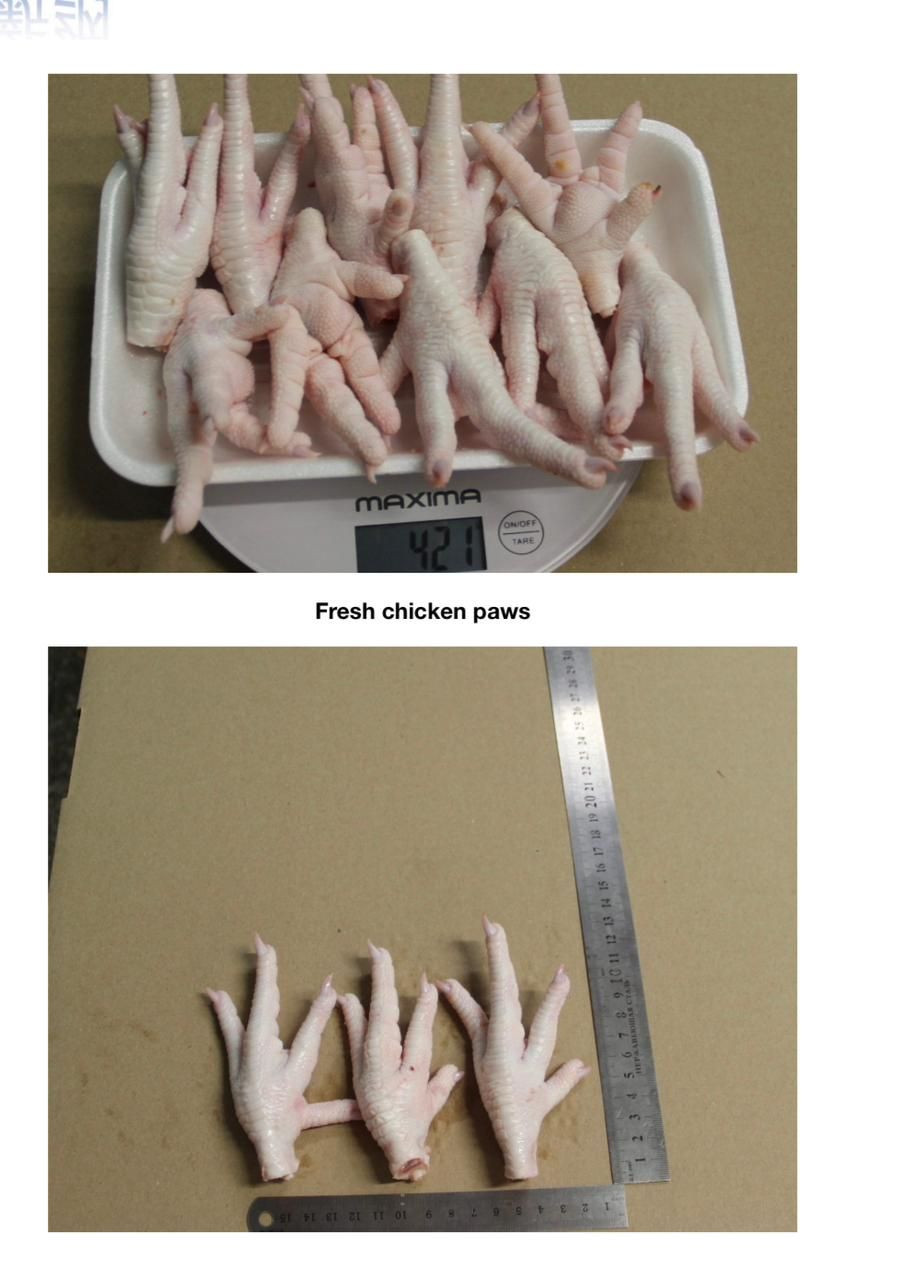 Buy Chicken Paws With Gacc from MIDO TRADE LTD. ŞTİ, Republic of ...