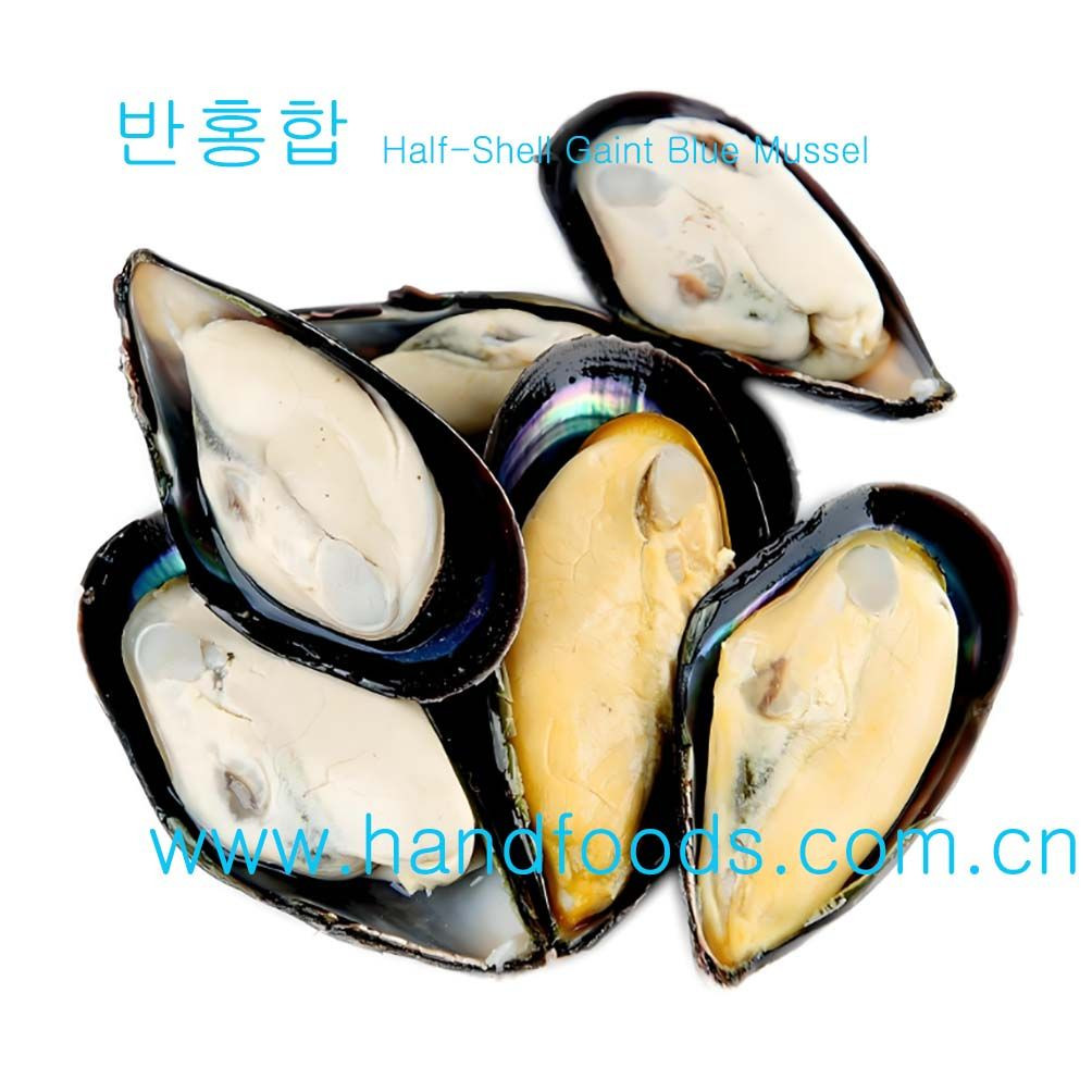 Buy Frozen Cooked Half-shell Gaint Blue Mussel from Hand Foods (Dalian ...