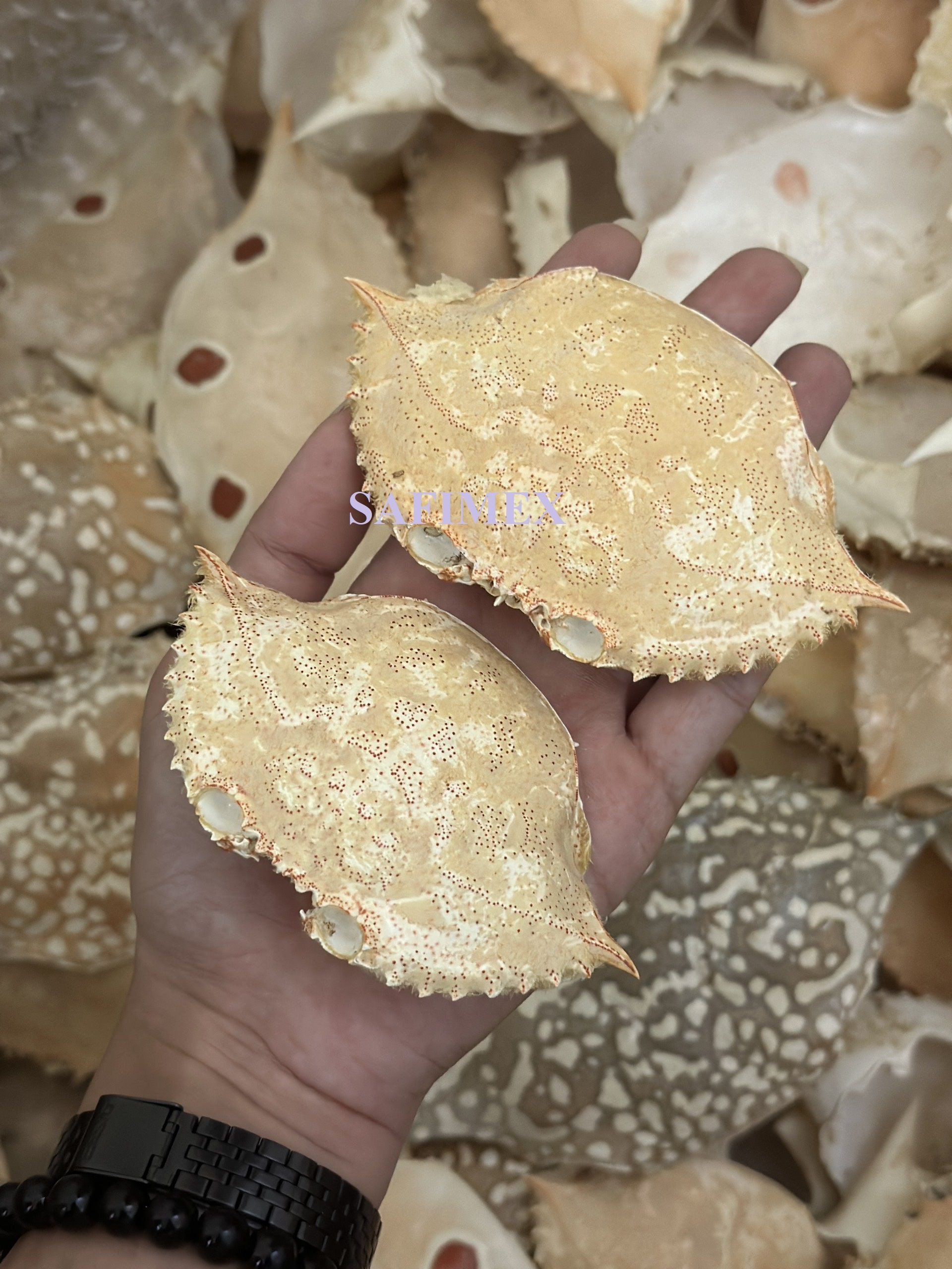 Buy High Quality Natural Dried Crab Shell For Food Stuff In Restaurant ...