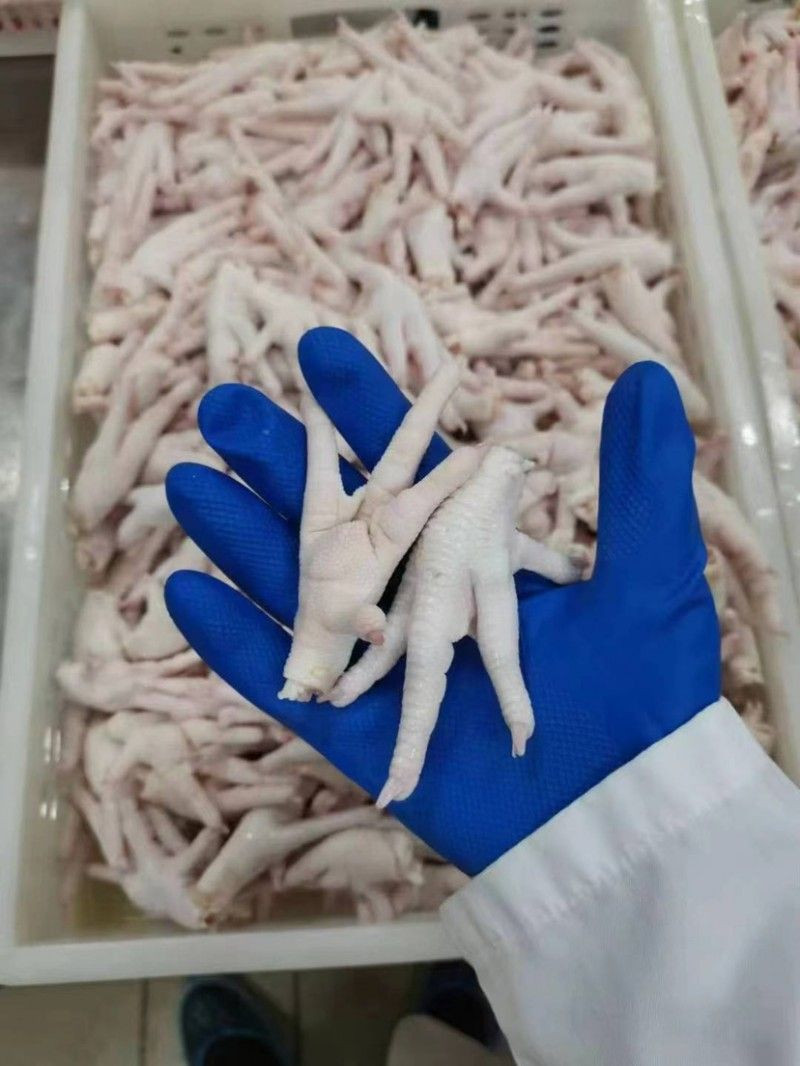 Buy Frozen Halal Chicken Feet And Paws China-approved Supplier,chicken ...
