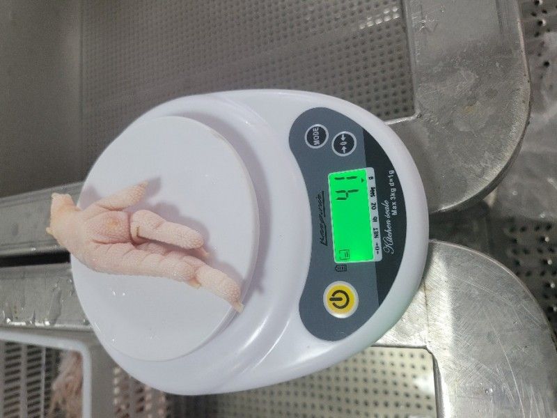 Buy Frozen Halal Chicken Feet And Paws China-approved Supplier,chicken ...
