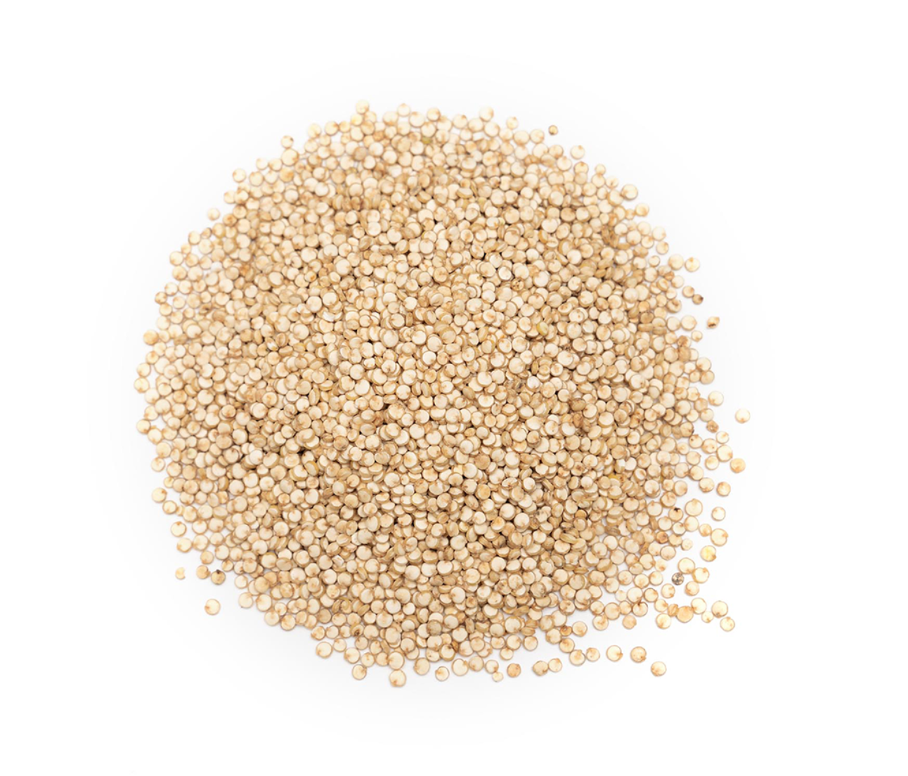 Buy White Quinoa from Anxur Trading, Peru | Tradewheel.com