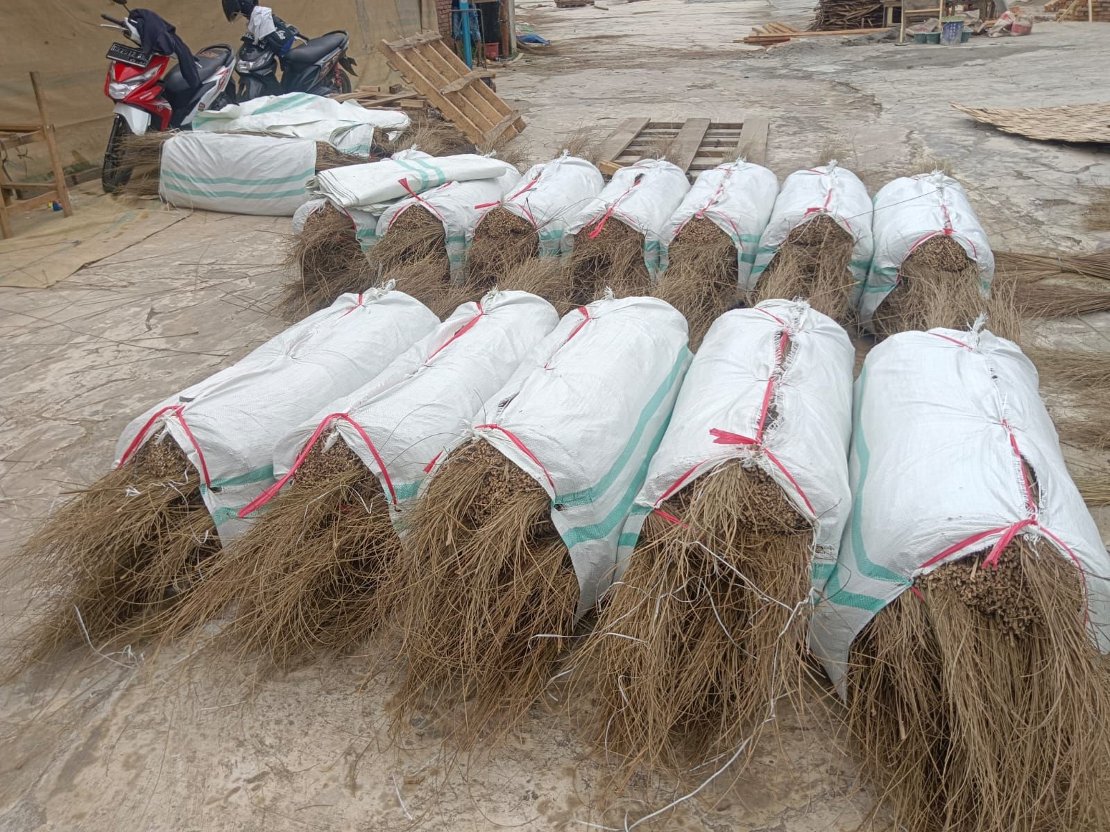 Buy Palm Broom Stick from PT Andalan Mitra Exporindo Trading Company ...