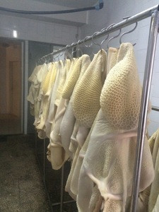 Buy Beef Tripe Scalded from BRIZ TRADING LTD, United Kingdom ...