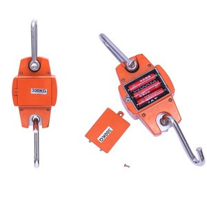 Buy Digital Hook Weighing Scale For Tower Crane, Industry Weighing ...