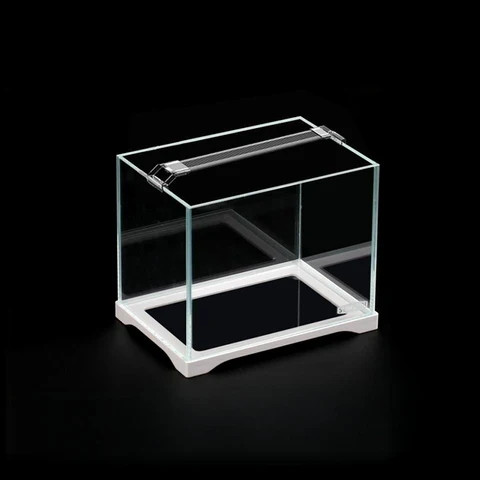 Buy Fish Tank Small Aquarium Tabletop Glass Living Room, Landscaping ...