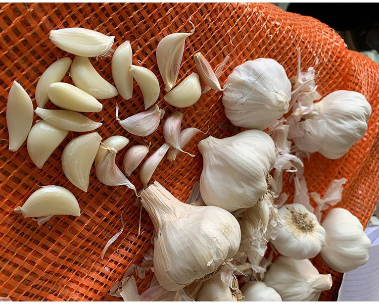 Buy Fresh White Garlic Specification Peeled Garlic Normal Snow White ...