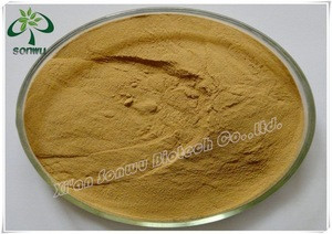 Buy Ginger Extract Powder/red Ginger Extract from Xian Sonwu Biotech Co ...