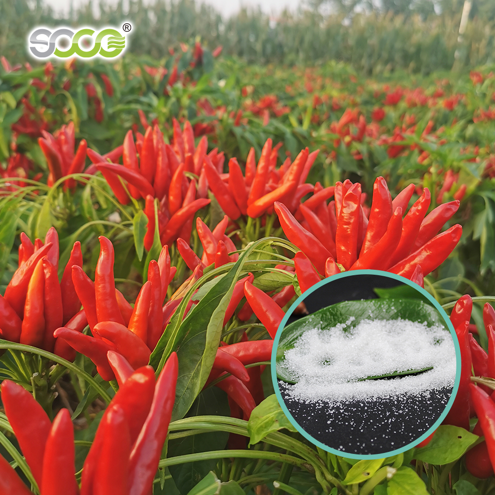 Buy Pure Potassium Polyacrylate Biodegradable Agricultural Hydrogel Superabsorbent Polymer ...