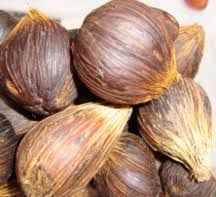 Buy Palm Kernel Nut (uncracked) from AFRIVIRGIN LTD, Nigeria ...