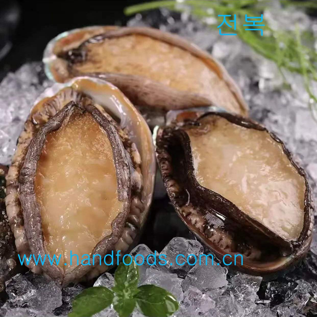 Buy Frozen Cooked Abalone from Hand Foods (Dalian) Co., Ltd., China ...