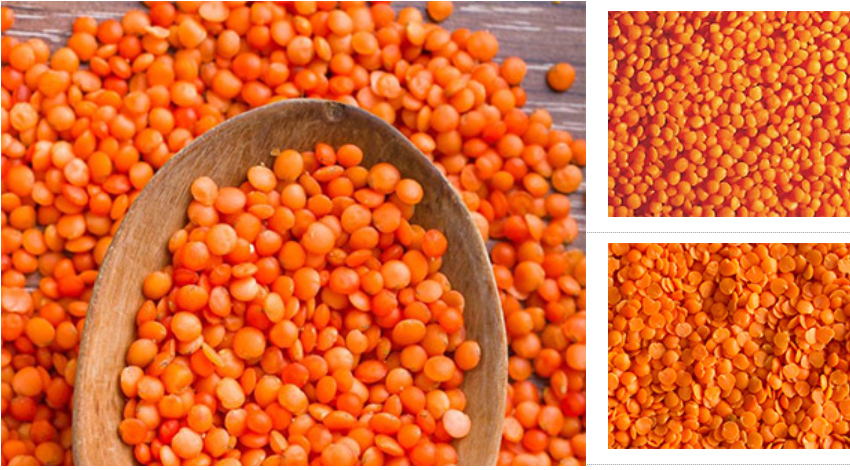 Buy Whole Or Split Red Lentils - Canada Origin from Guesbeogo ...