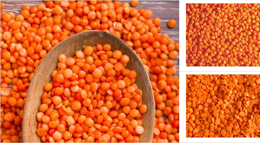 Buy Whole Or Split Red Lentils - Canada Origin from Guesbeogo ...