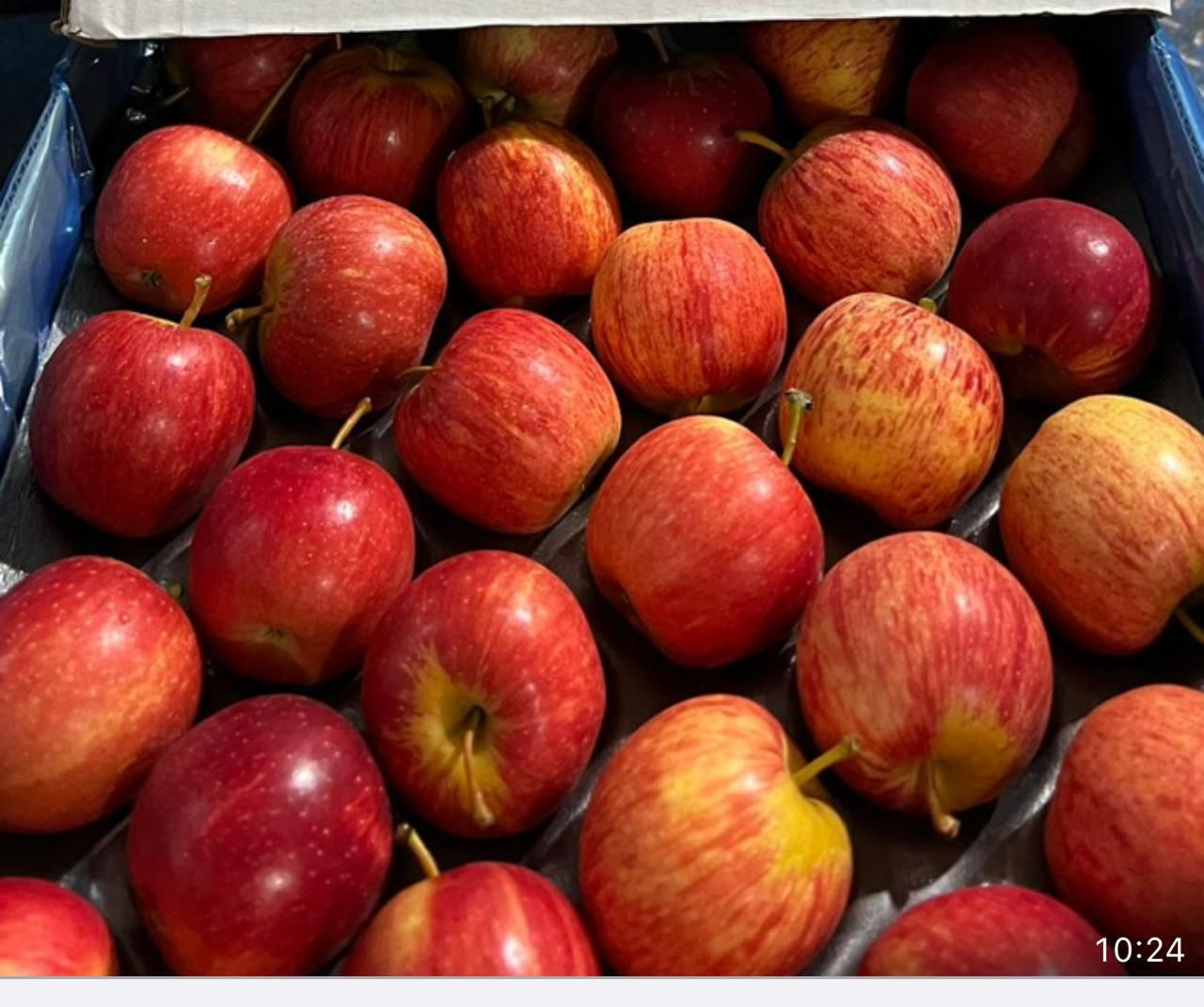 Buy Royal Gala Apples from Fish&More (PTY), South Africa | Tradewheel.com