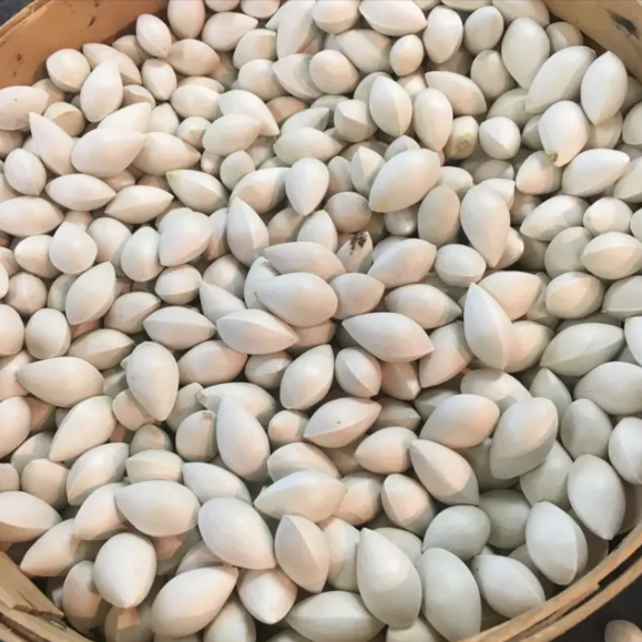 Buy Ginkgo Nuts /peeled Ginkgo Nuts/raw Ginkgo Nuts From Cameroonian ...