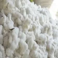 Buy Raw Cotton from AFRICA ASPIDUS COMMODITY TRADERS, South Africa ...