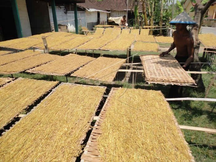 Buy Dried Chopped Taro Leaves - Hs Code 2401.10.50 from CV. Tanaka ...