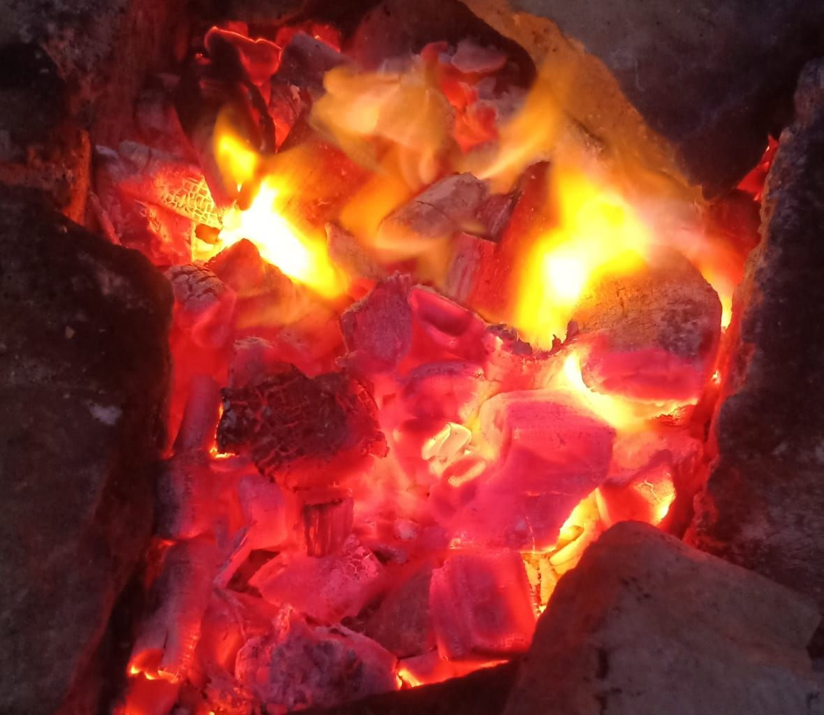 Buy Egyptian Charcoal from rotana, China | Tradewheel.com