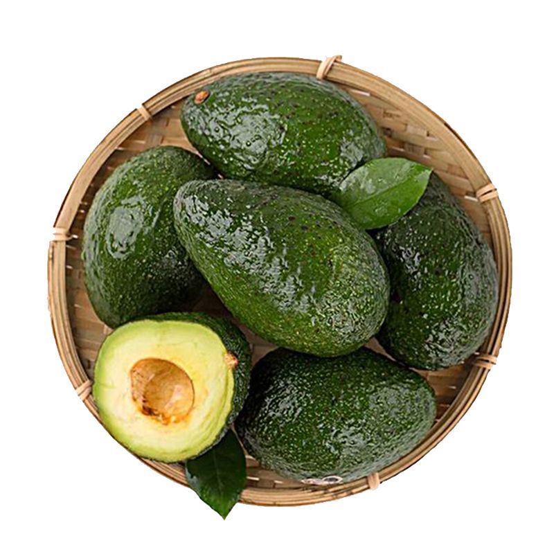 Buy Avocado Hass Fresh Avocado From Mexico Green Tropical Style Color ...
