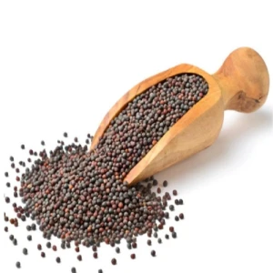 Buy Mustard, Sarso from Mukandi Overseas, India | Tradewheel.com