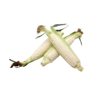 Buy Premium Grade Dry White Corn High Quality White Maize Corn For ...