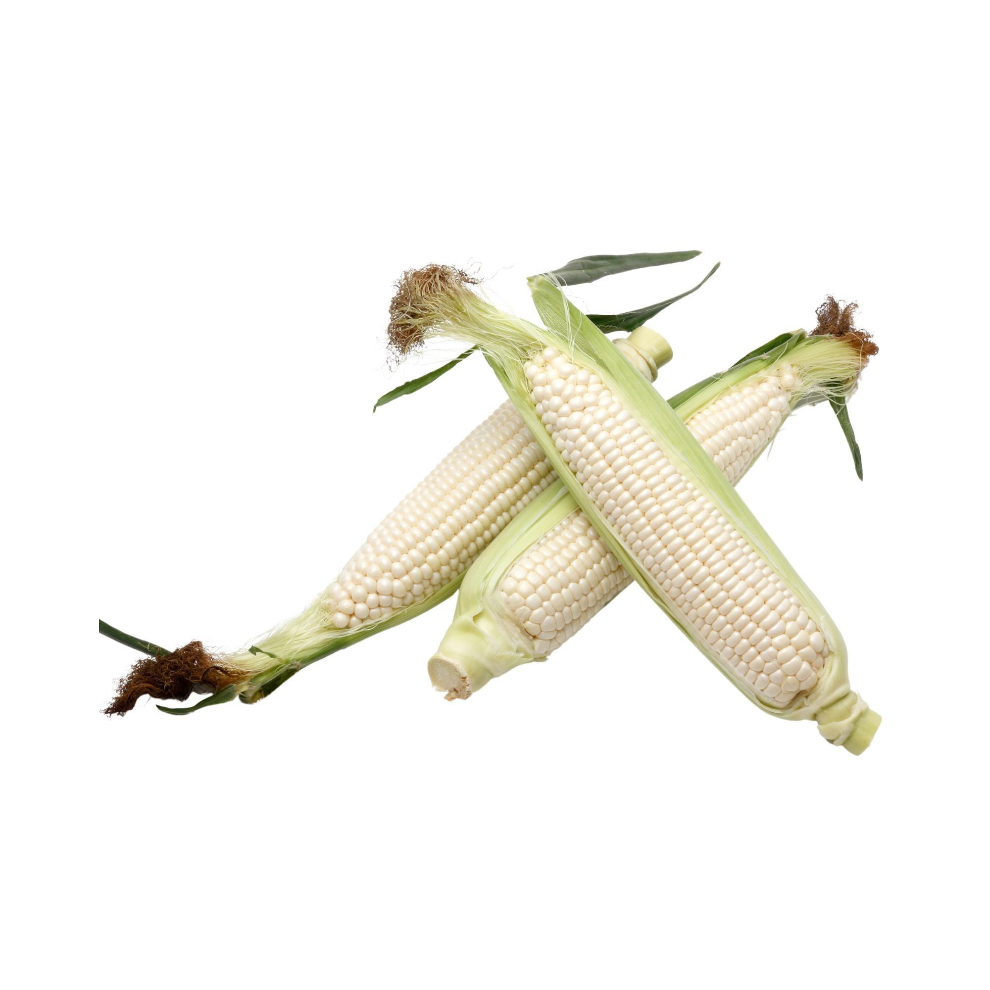 Buy Premium Grade Dry White Corn High Quality White Maize Corn For ...
