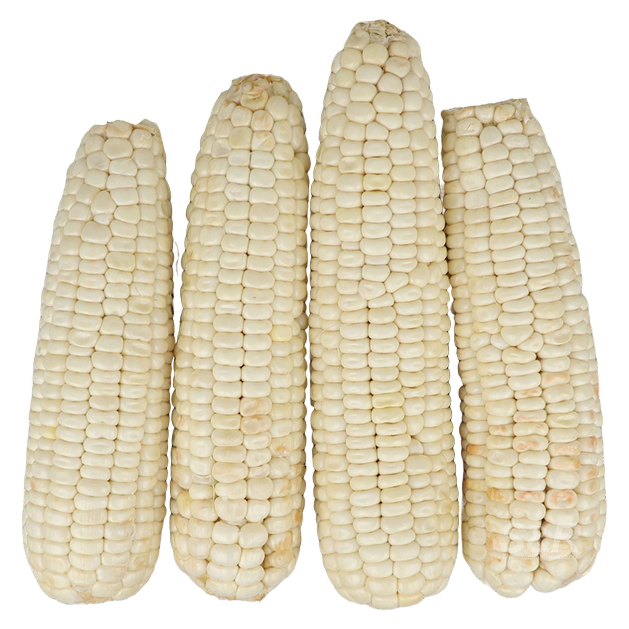 Buy Premium Grade Dry White Corn High Quality White Maize Corn For ...