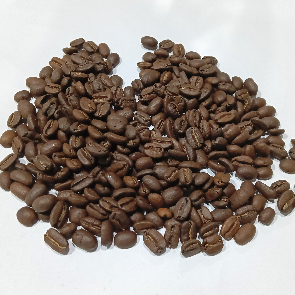 Buy Wild Civet Coffee – Premium Indonesian Sumatra Kopi Luwak Arabica ...