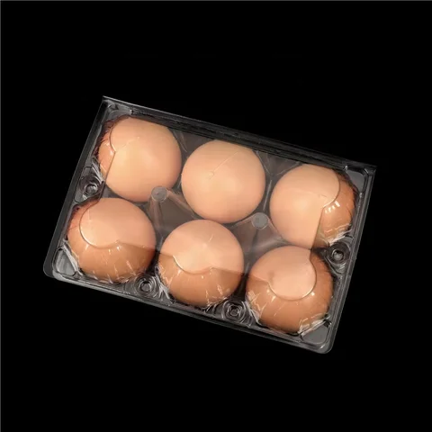 Buy 4 6 8 Holes China Transparent Disposable Wholesale Plastic Bliser ...