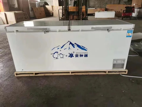 Buy Brand New 718 Litre 2-door Commercial Chest Freezer 220v Single ...
