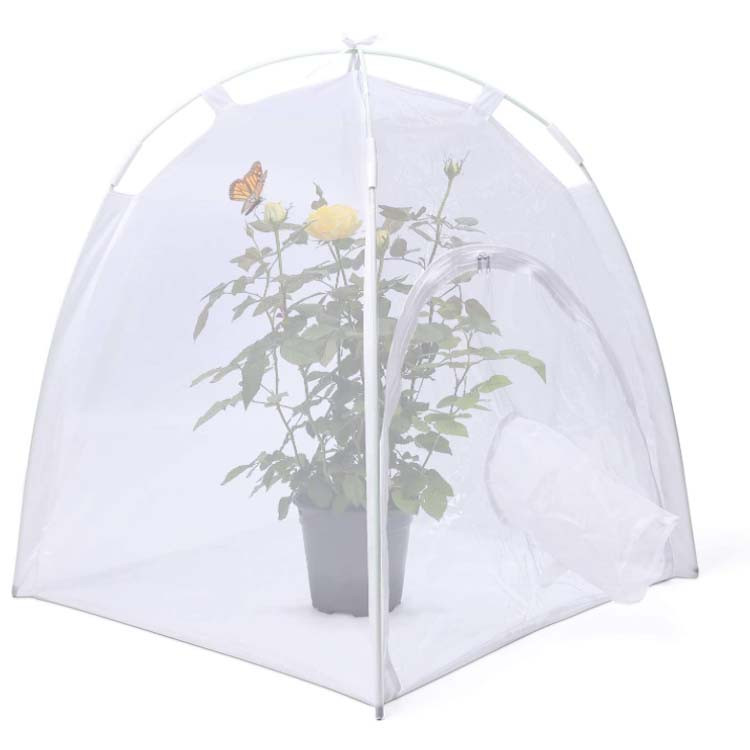 Buy Butterfly Habitat Rearing Tents,insect Breeding Cage from Xiamen ...