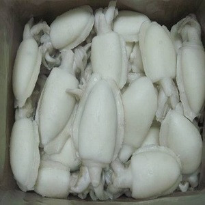 Buy Cuttlefish/frozen Whole Cuttle Fish/fillets And Baby Cuttlefish ...
