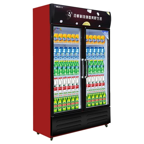 Buy Display Upright Freezer Commercial Single-temperature Refrigerated ...
