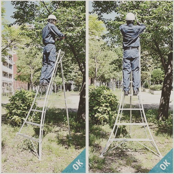 Buy Dr.ladder Garden Tree Tripod Aluminium Step Agricultural Ladders ...
