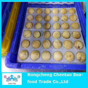 Buy Frozen Octopus Ball from Rongcheng Chentao Seafoods Trade Co., Ltd ...