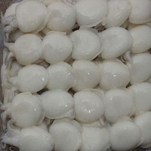 Buy Frozen Whole Round Cuttlefish/frozen Baby Cuttlefish /frozen Clean ...