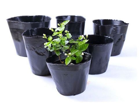 Buy Nursery Pots 100 Pcs Vegetable Flower Plant Plastic Pot Disposable ...