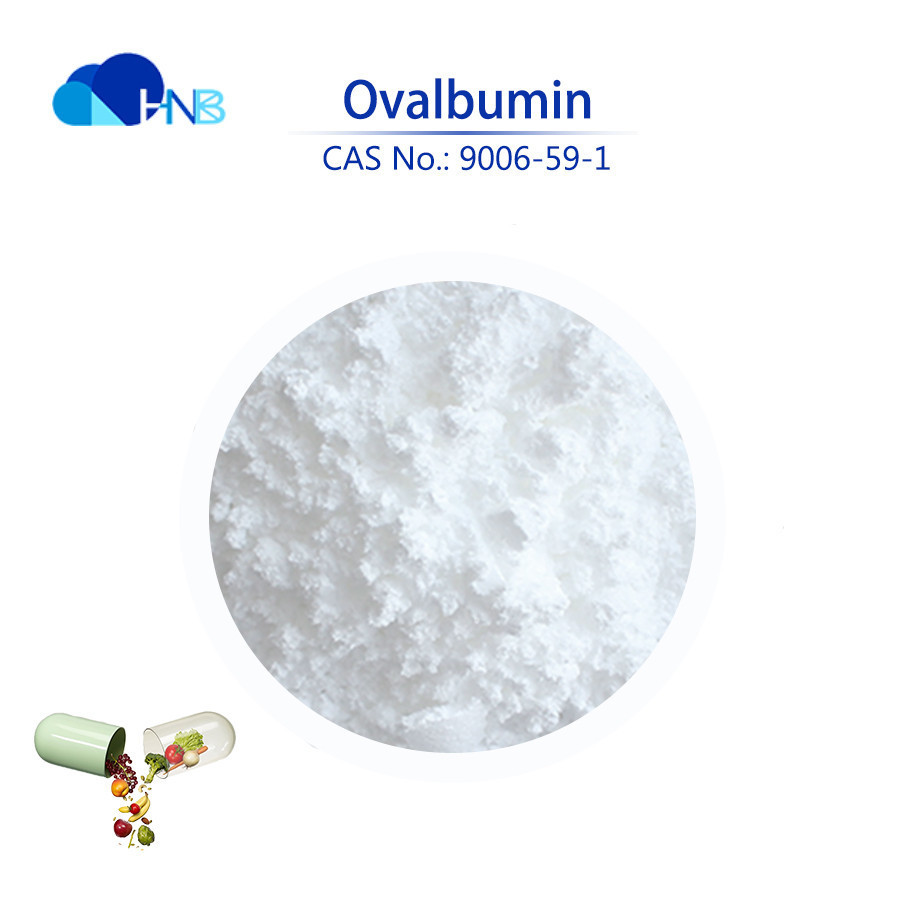 Buy Nutrition Supplement 98% Ovalbumin, Ovalbumin Powder As Good ...