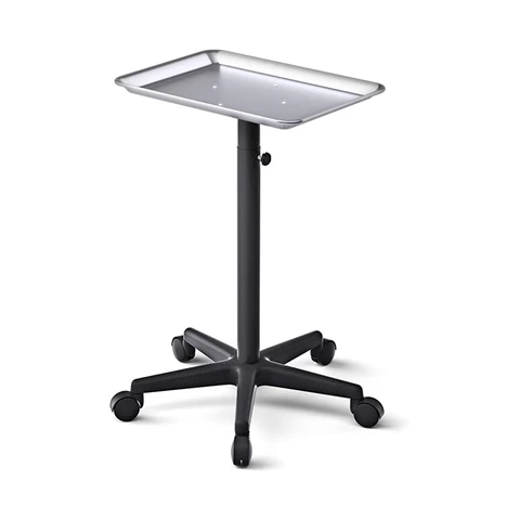 Buy Premium Aluminum Instrument Salon Tray Tattoo Rolling Tray Station ...